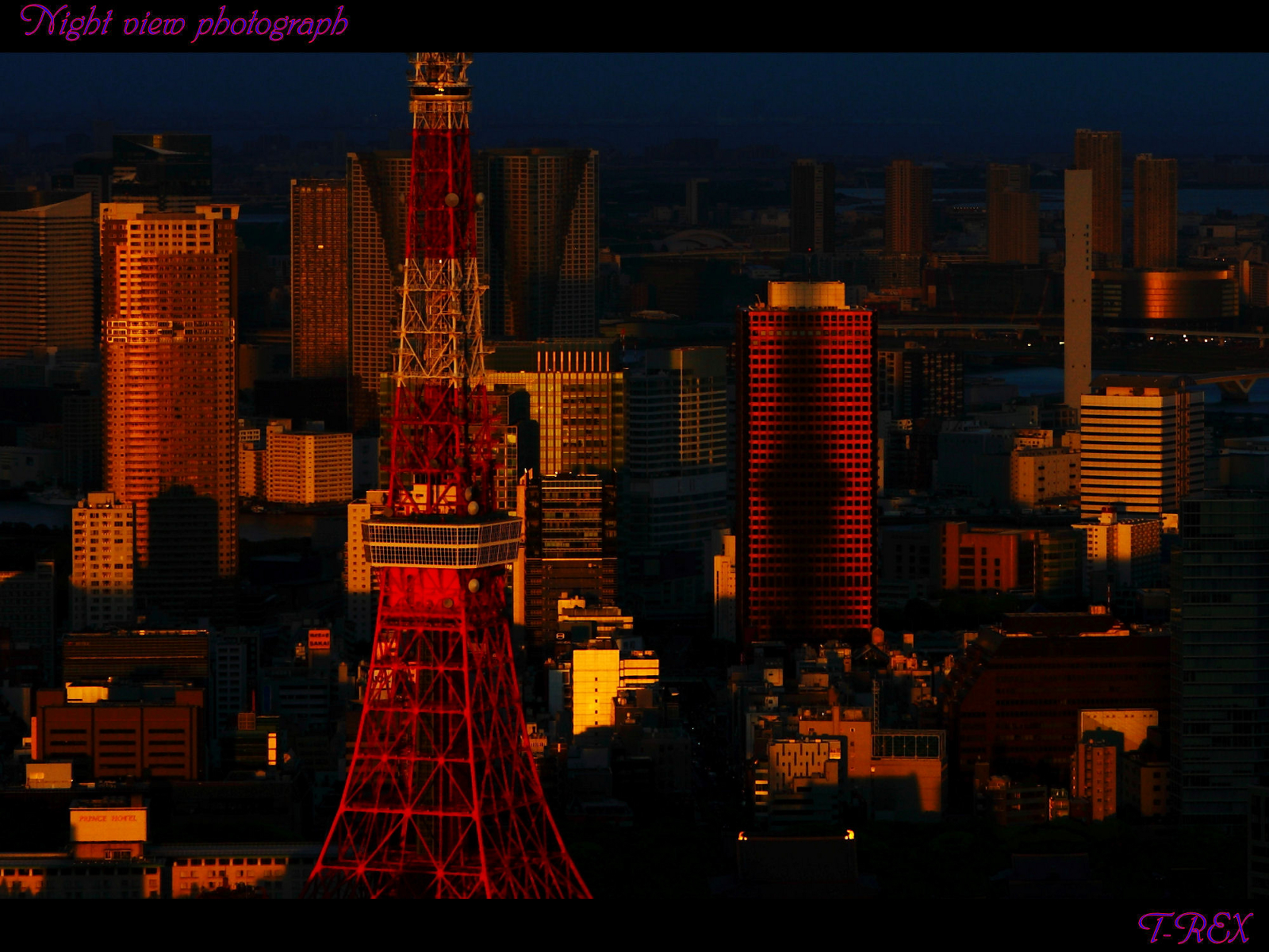 「Tokyo Shadow Tower」の夜景壁紙・写真｜T-REX